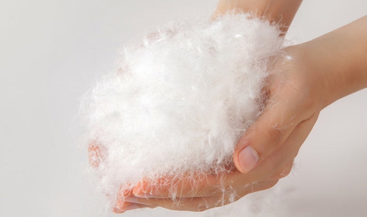 Down vs. Feather: Why Your Bedding Fill Matters?