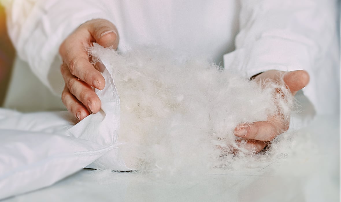 Hungarian Goose Down – Why is it Special? - Hamvay-Láng